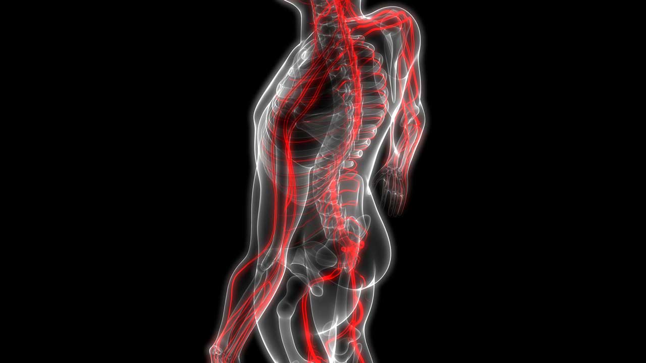 Spinal Nerve Injuries and Treatment